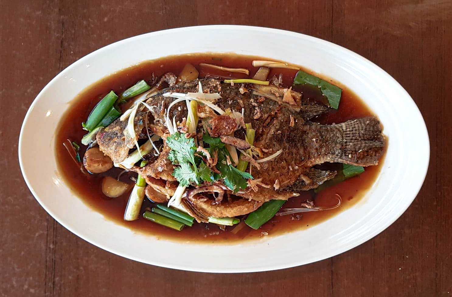 Fish - Chef's Choice Wollongong